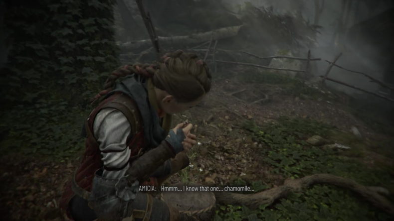 A Plague Tale Requiem | Flower Guide | GodisaGeek.com