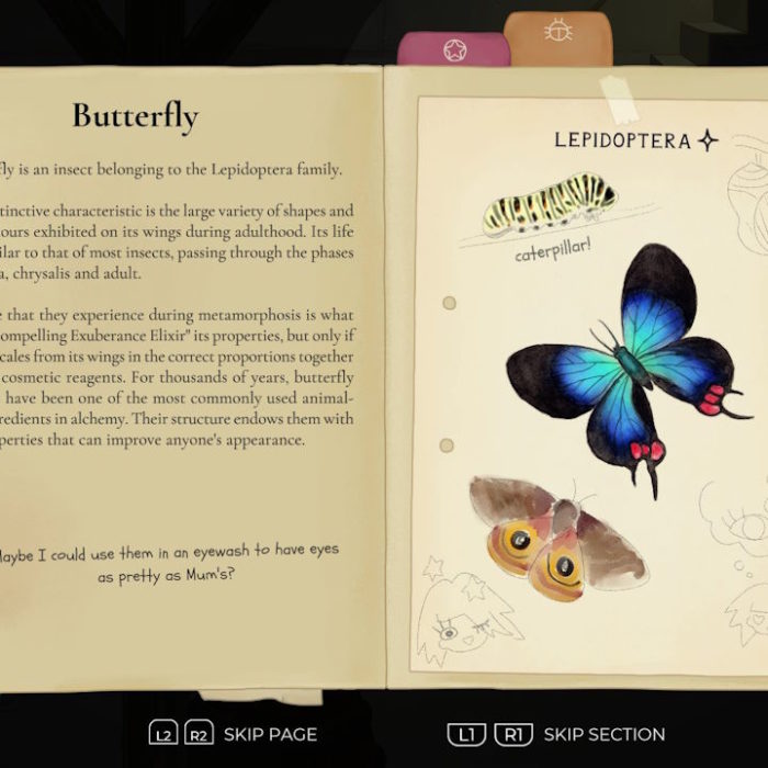 Clem walkthrough | Every step to completing the game | GodisaGeek.com