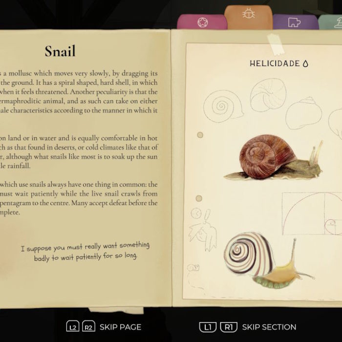 Clem walkthrough | Every step to completing the game | GodisaGeek.com