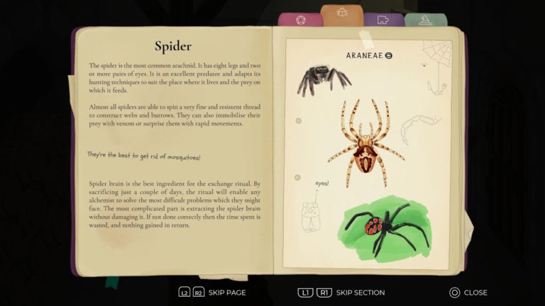 Clem walkthrough | Every step to completing the game | GodisaGeek.com