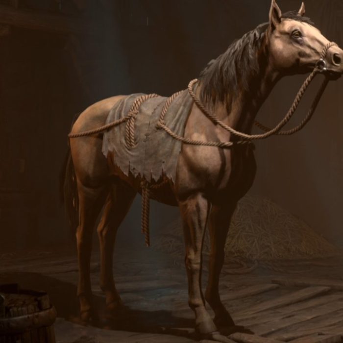 Diablo 4 | How to use the Stash | GodisaGeek.com