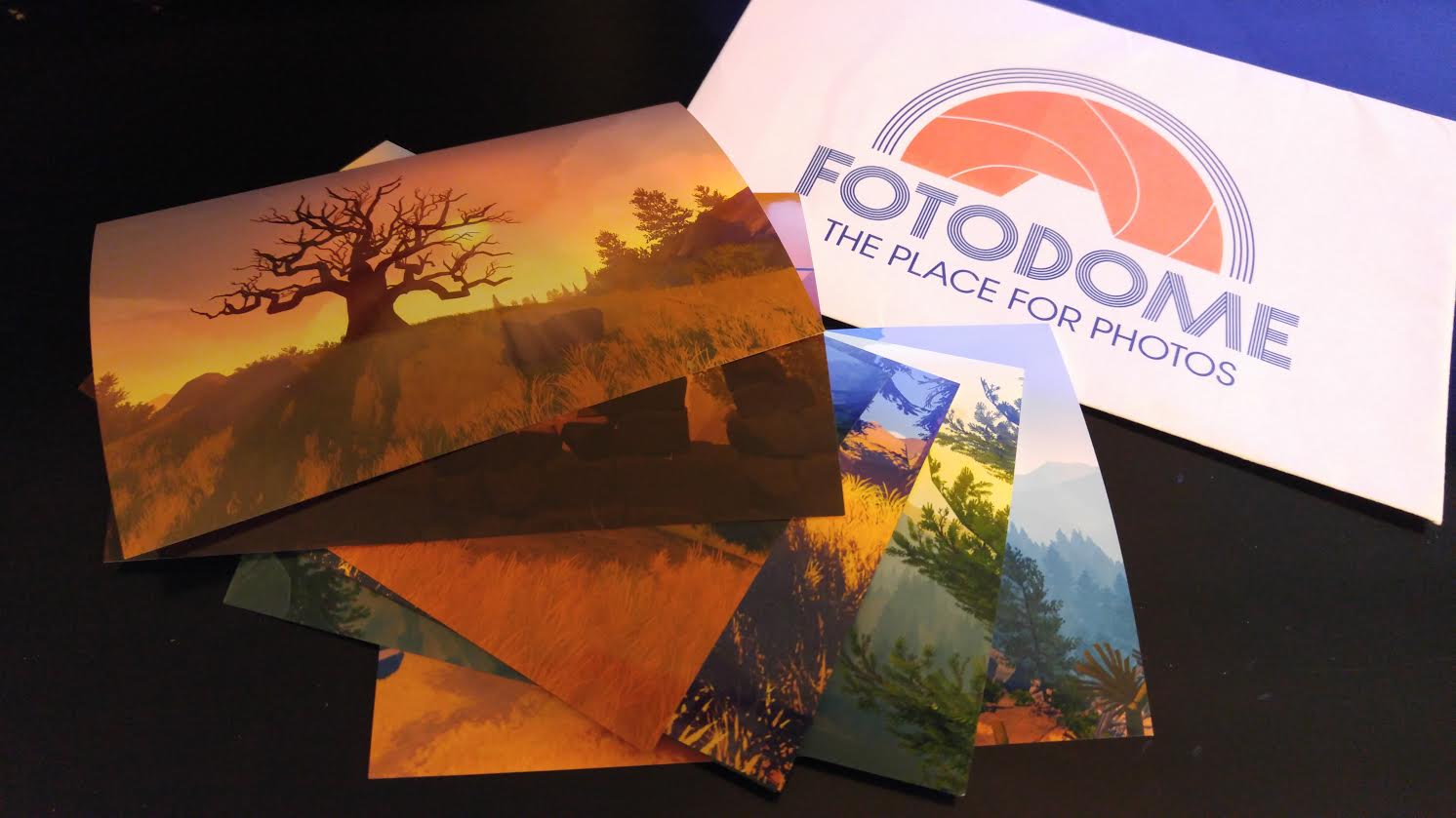 Firewatch on Steam lets you buy your in-game snaps as physical photo ...