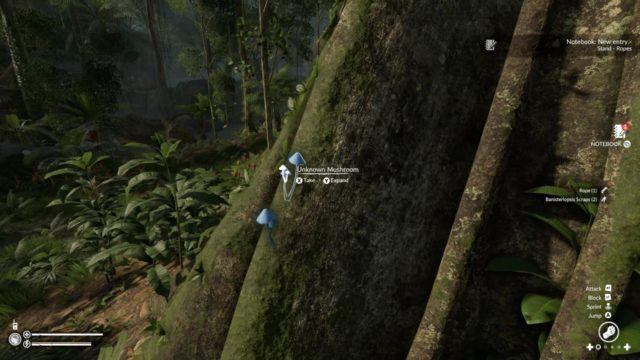 Green Hell review | GodisaGeek.com