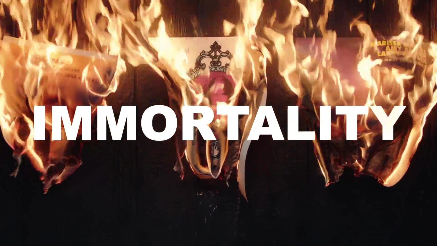 Immortality Review | GodisaGeek.com