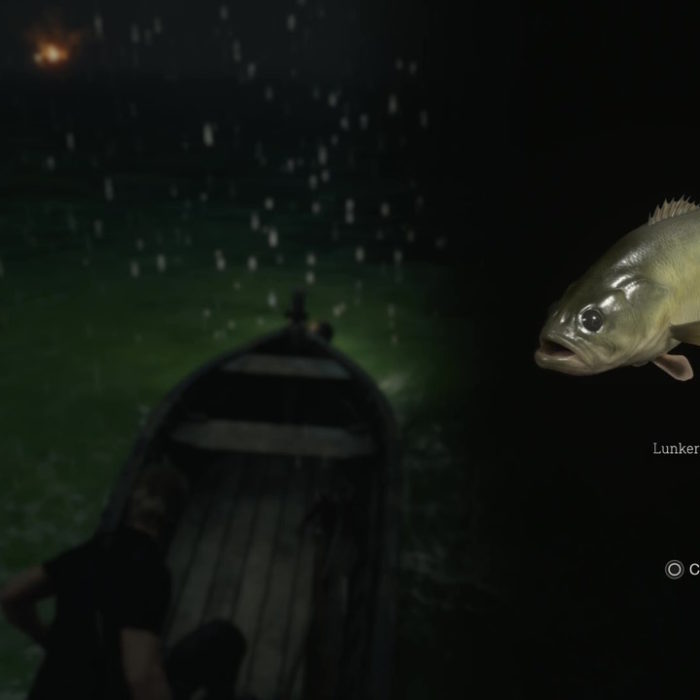 Resident Evil: The Mercenaries 3D Detailed | GodisaGeek.com