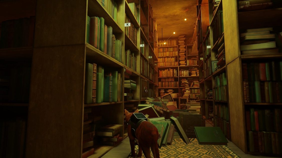 Stray | Doc's Notebook Location | GodisaGeek.com