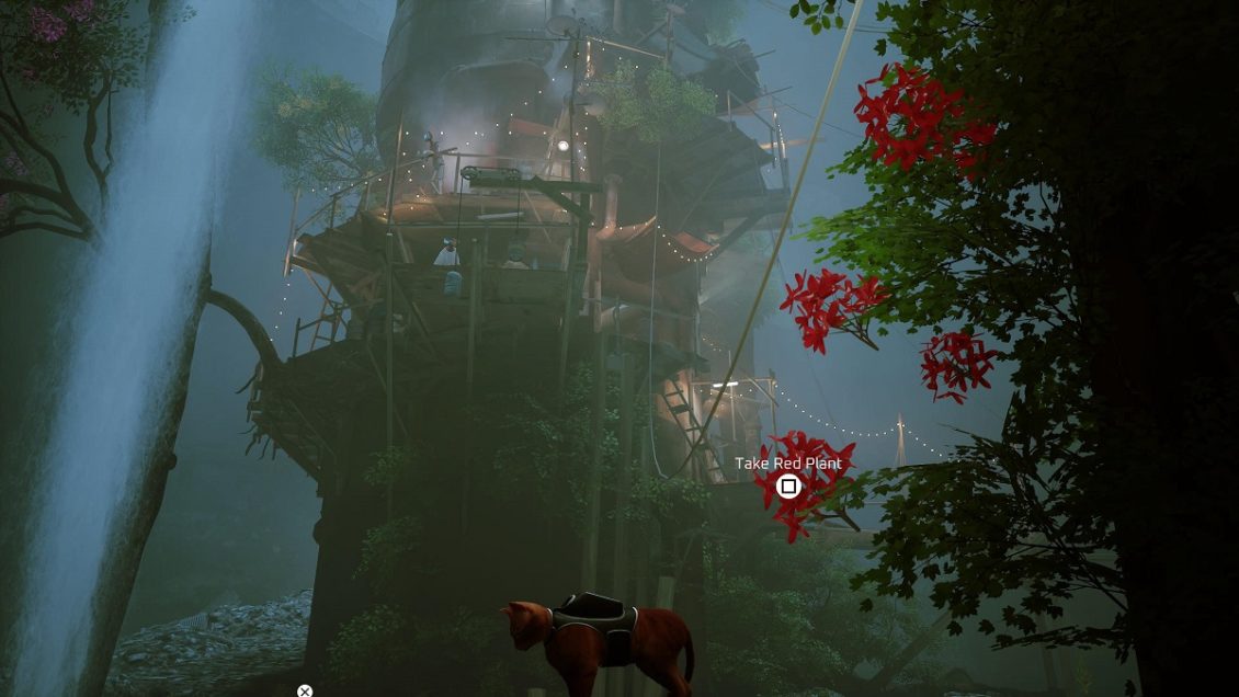 Stray | Malo's flowers locations: a complete guide | GodisaGeek.com