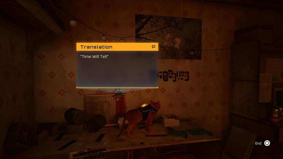 Stray | Open Seamus' secret room | GodisaGeek.com