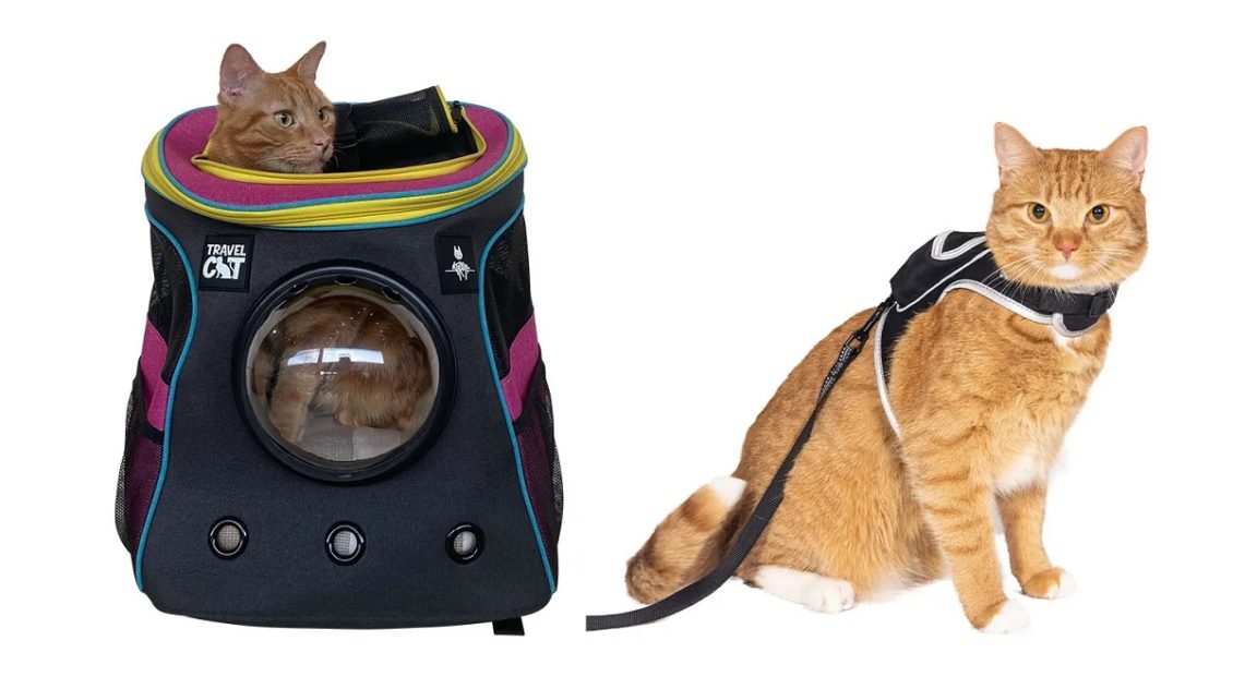 Limited Edition Stray harness and cat backpack announced | GodisaGeek.com