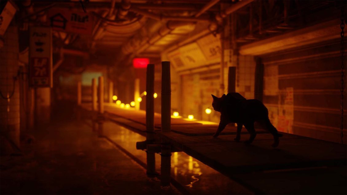 Stray is getting a physical PS5 version thanks to iam8bit | GodisaGeek.com