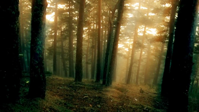 Sony to Reveal Emagon on December 5th | GodisaGeek.com